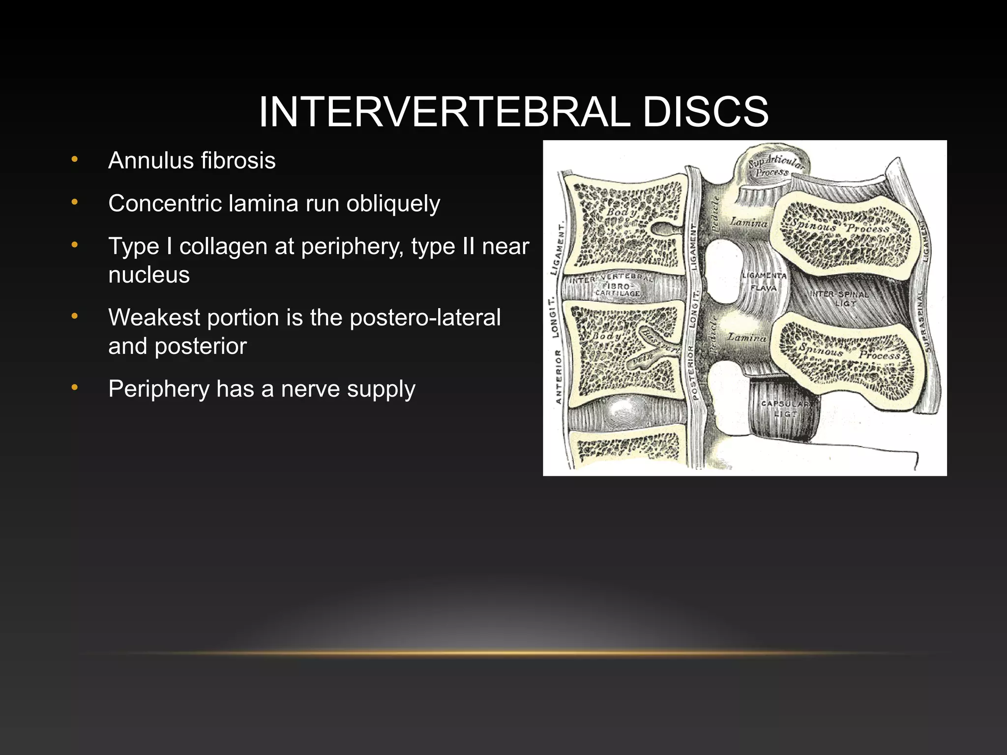 Clinical anatomy of_the_back by- dr. armaan singh | PPT