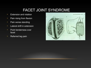 Clinical anatomy of_the_back by- dr. armaan singh | PPT