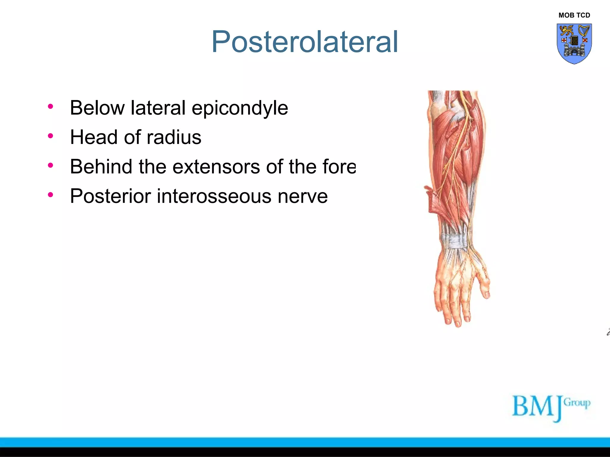 Clinical anatomy of the elbow | PPT