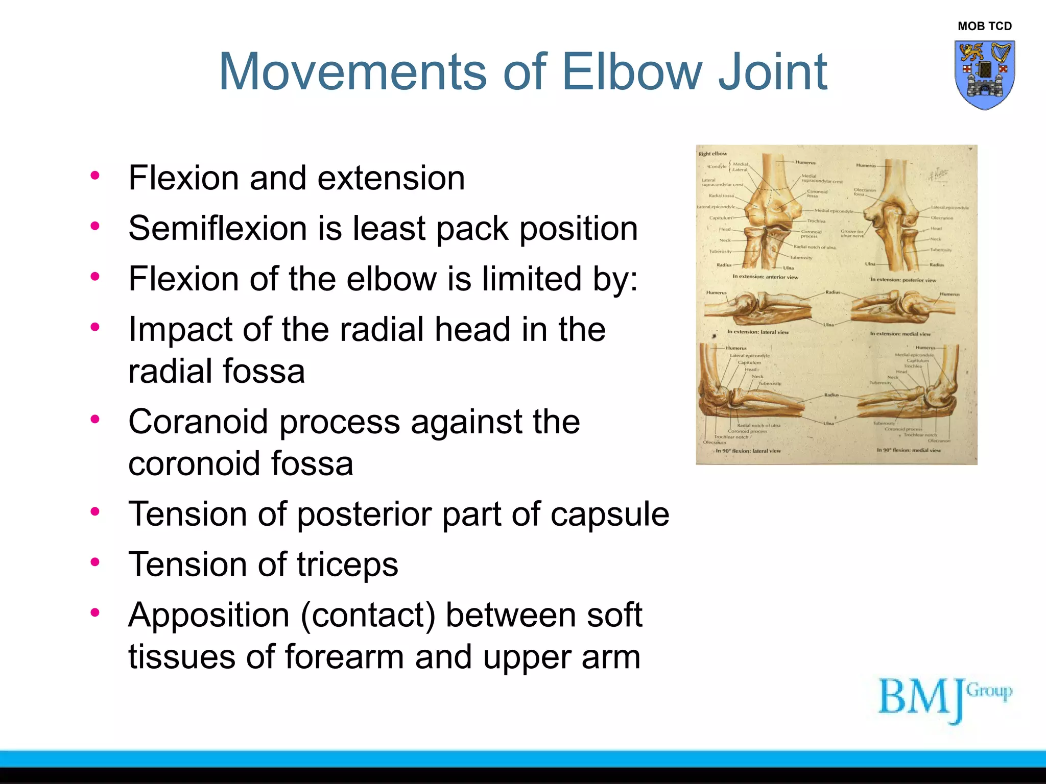 Clinical anatomy of the elbow | PPT