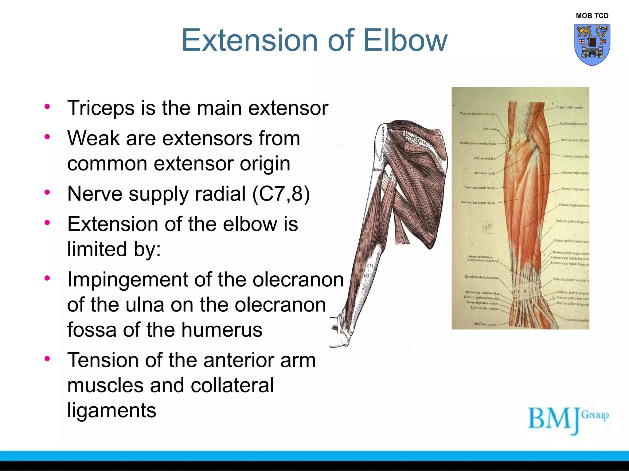 Clinical anatomy of the elbow | PPT