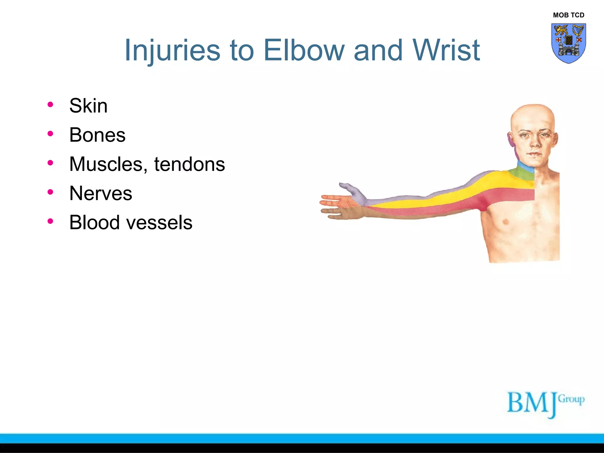 Clinical anatomy of the elbow | PPT
