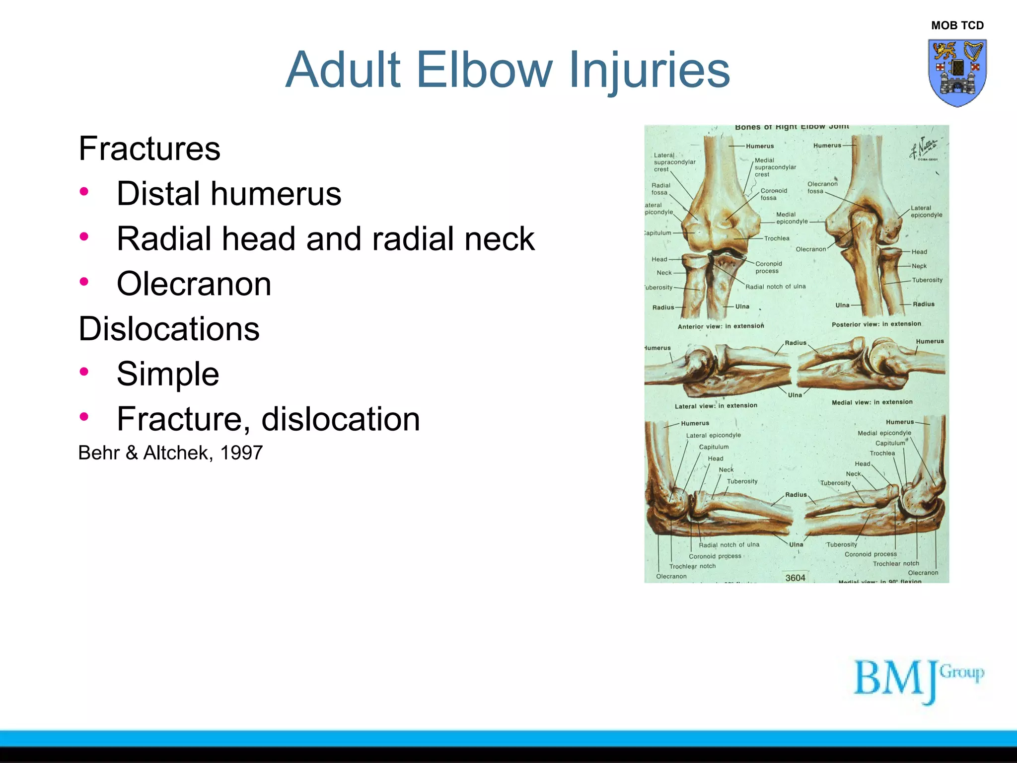 Clinical anatomy of the elbow | PPT