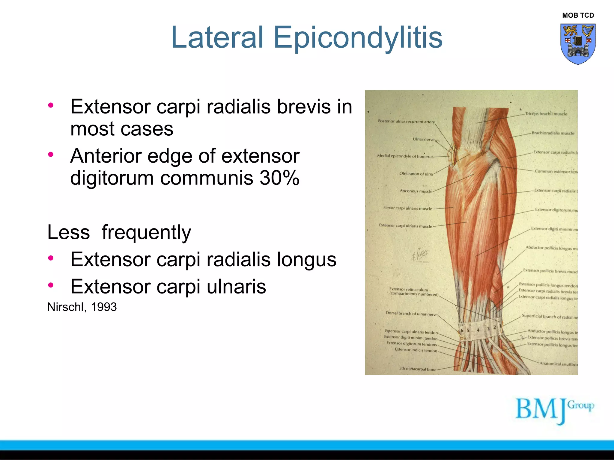 Clinical anatomy of the elbow | PPT