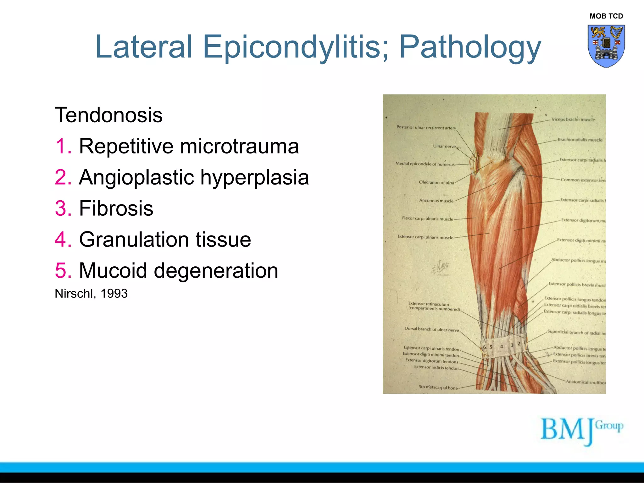 Clinical anatomy of the elbow | PPT