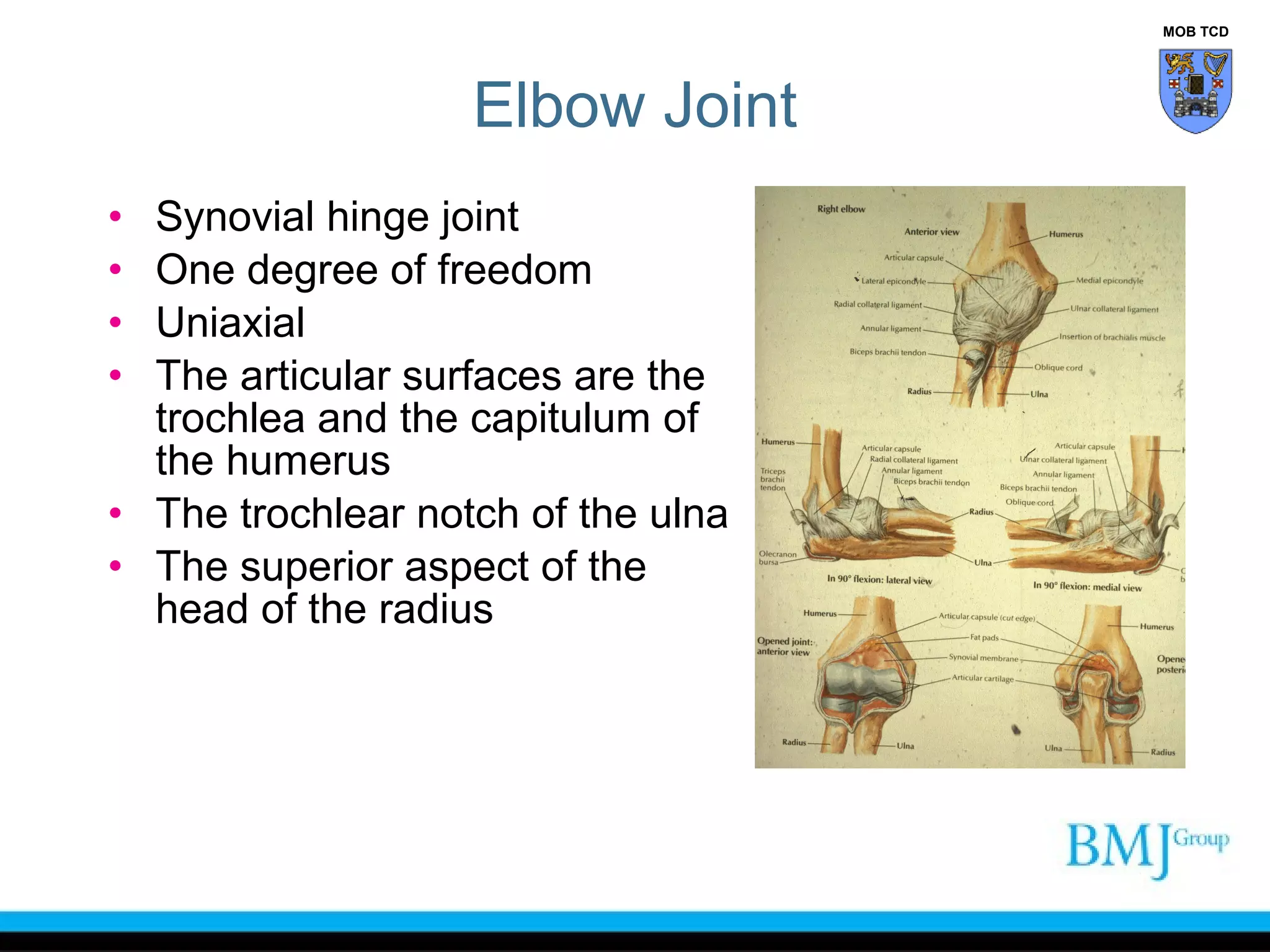 Clinical anatomy of the elbow | PPT