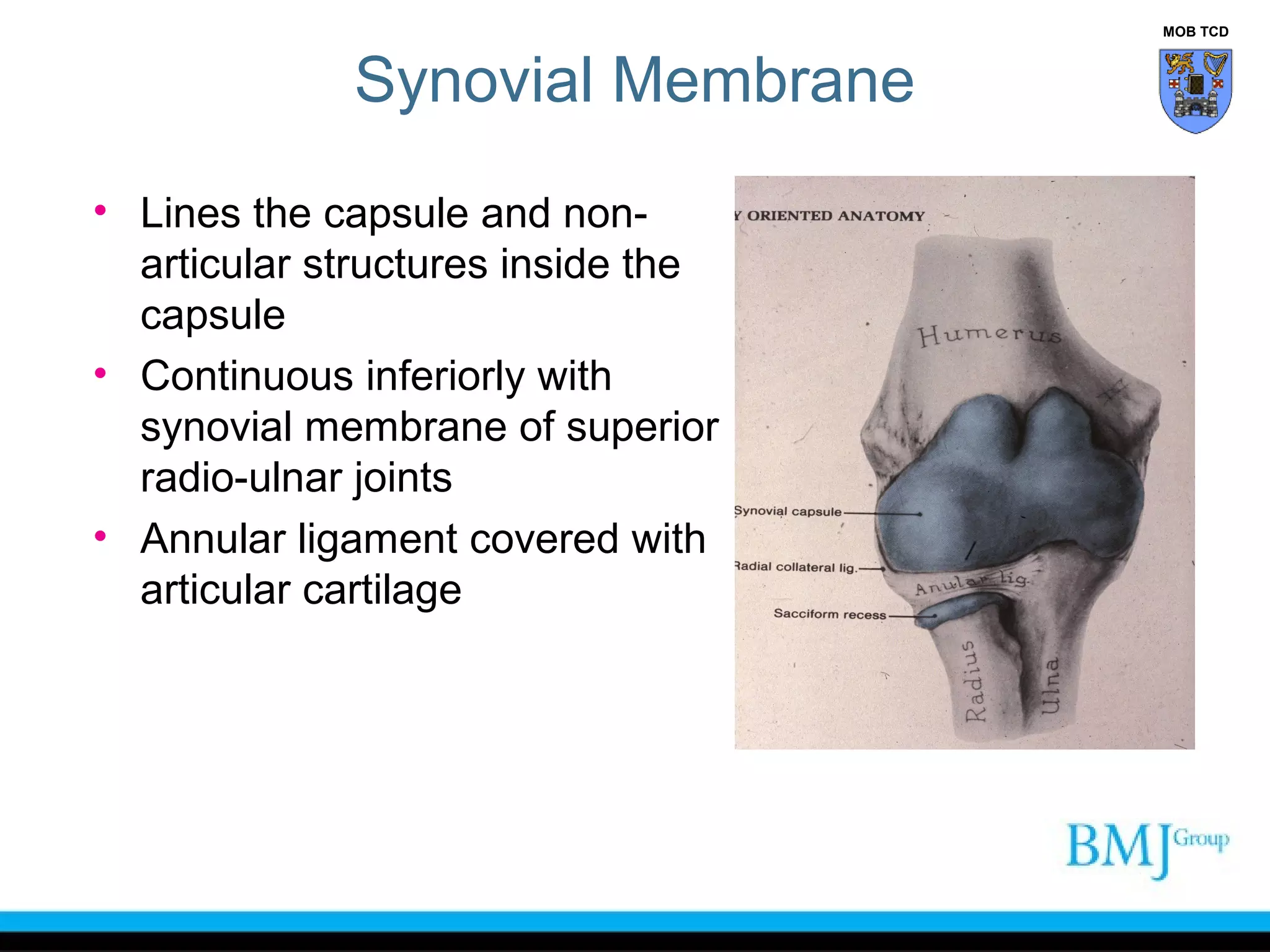 Clinical anatomy of the elbow | PPT