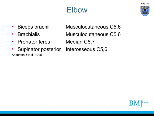 Clinical anatomy of the elbow | PPT