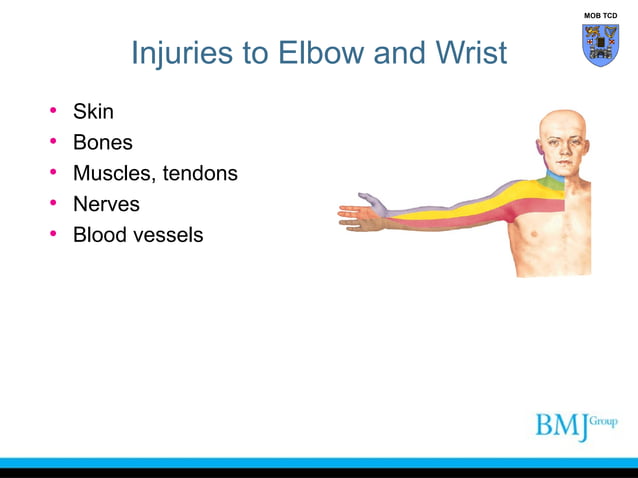 Clinical anatomy of the elbow | PPT