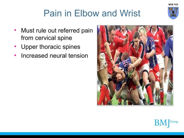Clinical anatomy of the elbow | PPT