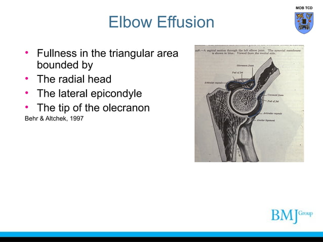 Clinical anatomy of the elbow | PPT