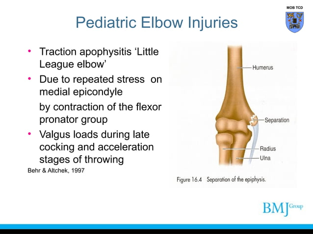Clinical anatomy of the elbow | PPT
