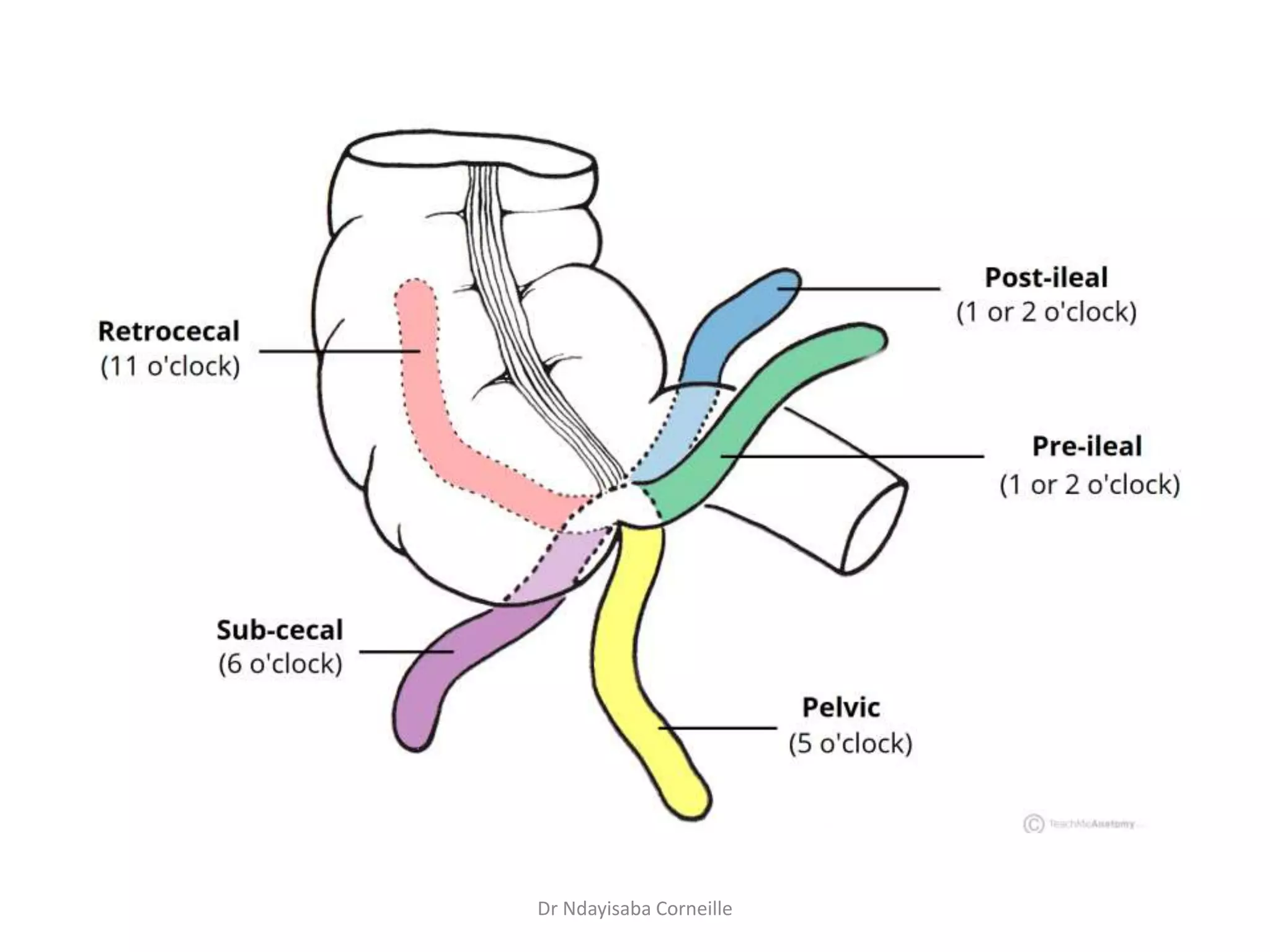 Clinical anatomy of the GIT.pptx