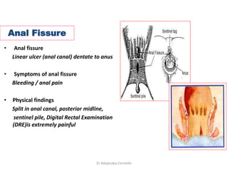 Clinical anatomy of the GIT.pptx