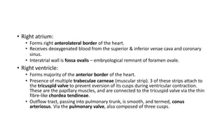 Clinical Anatomy of the Heart, Pericardium and.pptx
