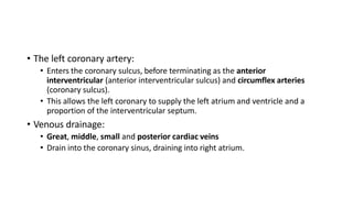 Clinical Anatomy of the Heart, Pericardium and.pptx