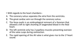 Clinical Anatomy of the Heart, Pericardium and.pptx
