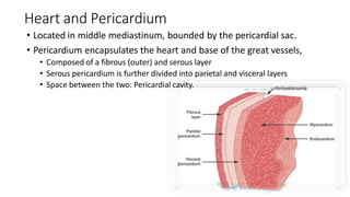 Clinical Anatomy of the Heart, Pericardium and.pptx
