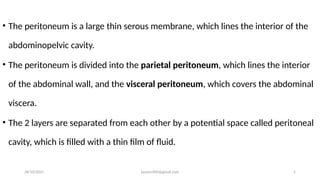 CLINICAL ANATOMY OF THE PERITONEUM PowerPoint Presentation | PPTX