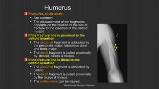 Clinical anatomy of the upper limb | PPT