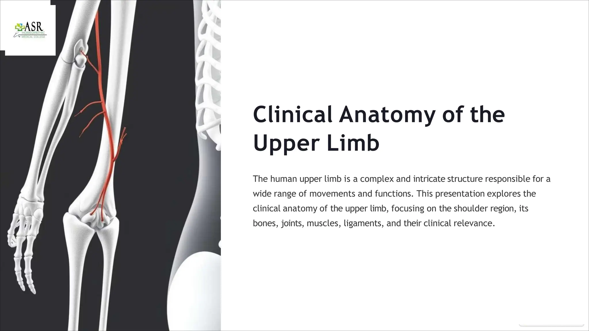 Clinical Anatomy Of The Upper Limb.pptx n.pdf