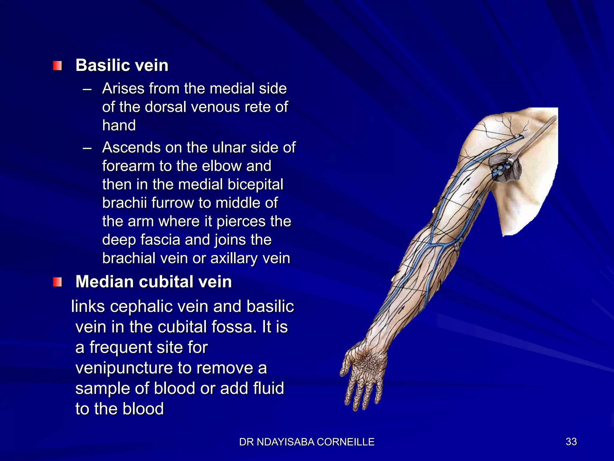 Clinical Anatomy of The Upper Limbs .pptx