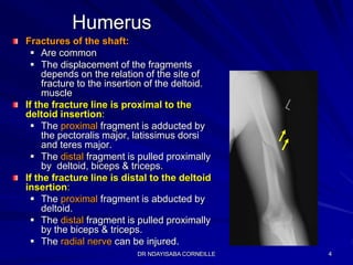 Clinical Anatomy of The Upper Limbs .pptx