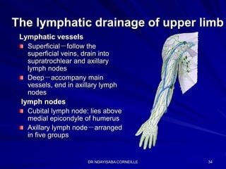 Clinical Anatomy of The Upper Limbs .pptx