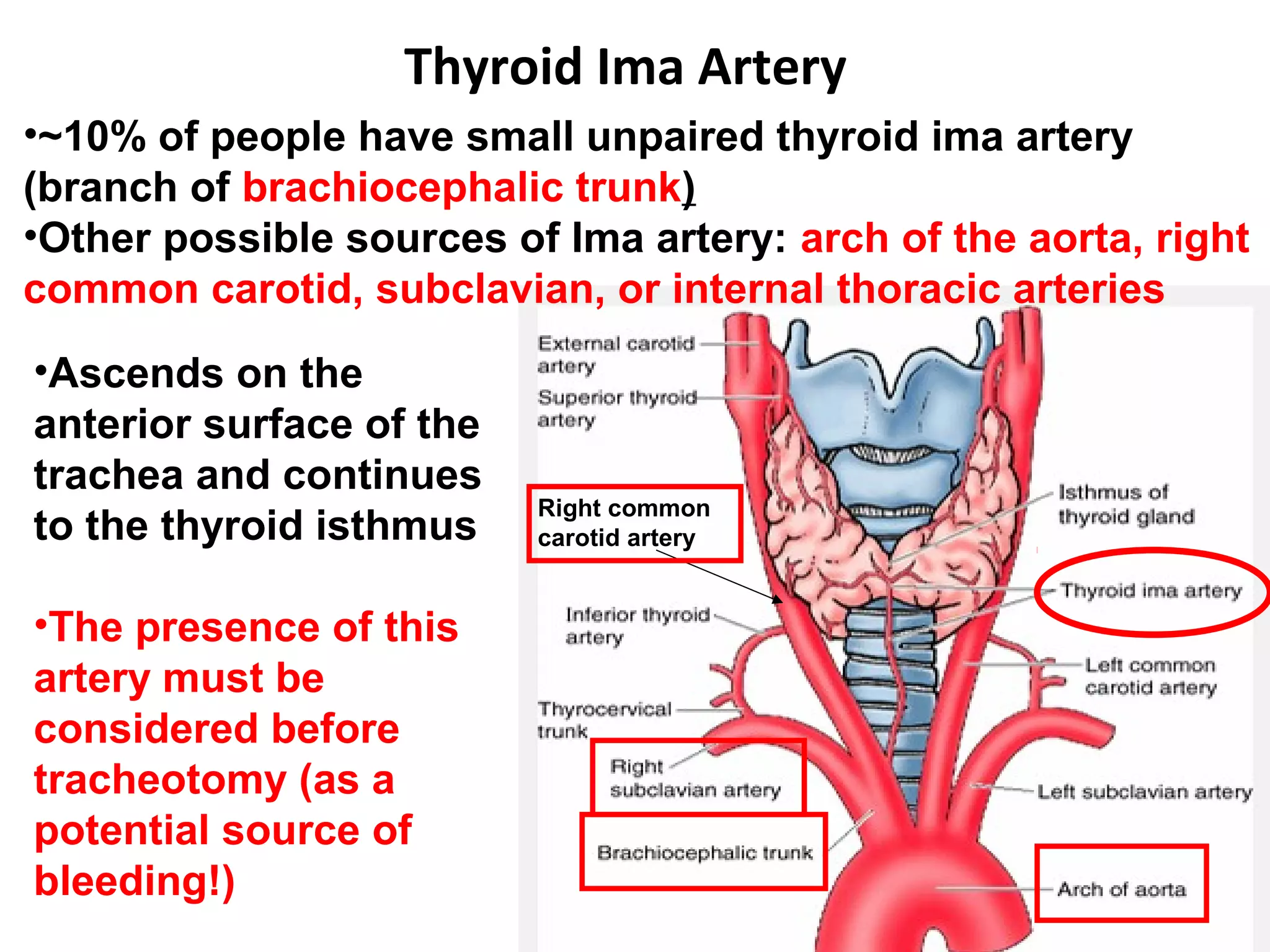Clinical anatomy of Thyroid gland | PPT