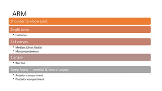 CLINICAL ANATOMY OF UPPER & LOWER LIMB.pptx