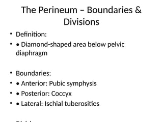 Clinical_Anatomy_Pelvis_and_Perinum.pptx