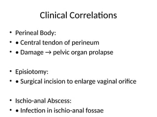 Clinical_Anatomy_Pelvis_and_Perinum.pptx