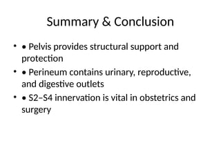 Clinical_Anatomy_Pelvis_and_Perinum.pptx