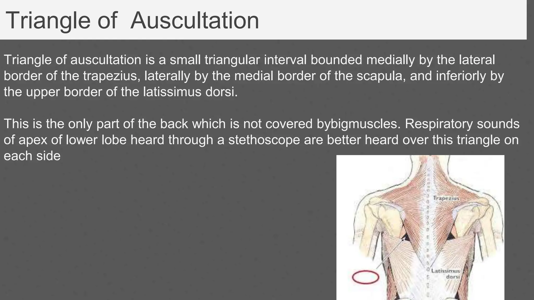 Clinical anatomy UPPER LIMB.pptx