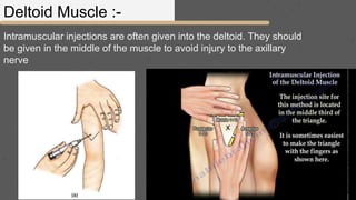 Clinical anatomy UPPER LIMB.pptx