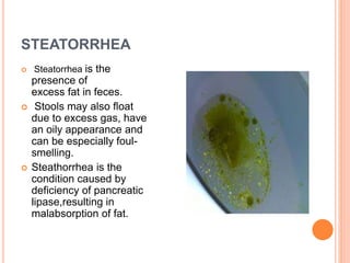 Clinical applied anatomy and physiology of git system | PPTX