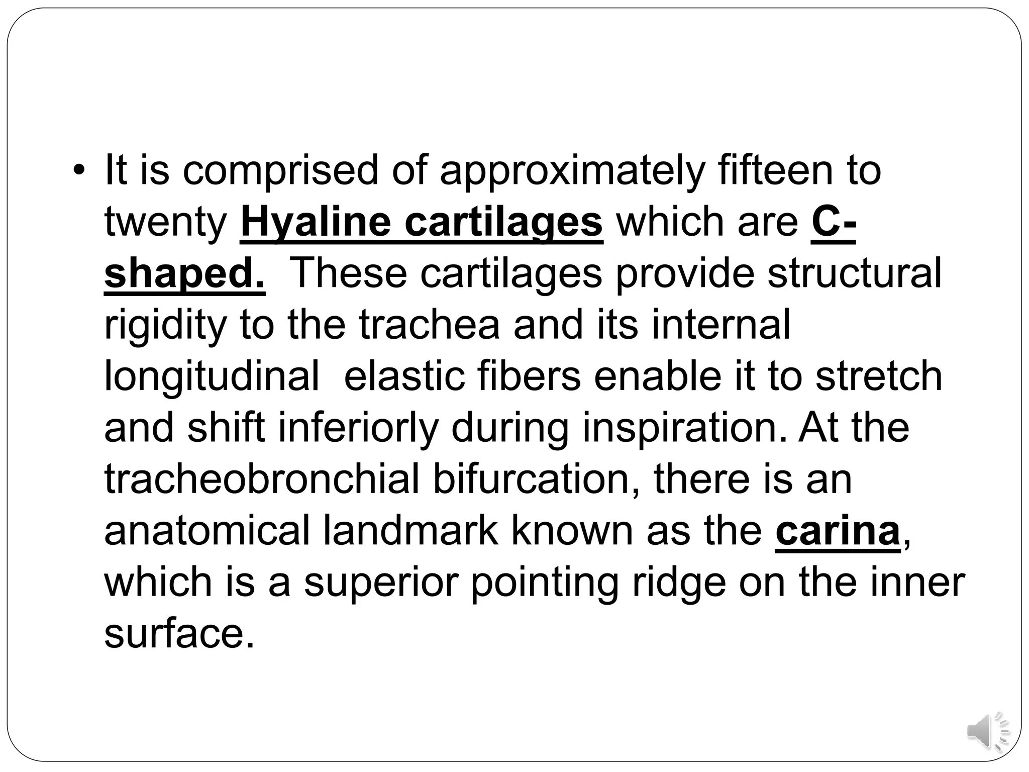 Clinical & Applied anatomy of trachea and Oesophagus | PPTX