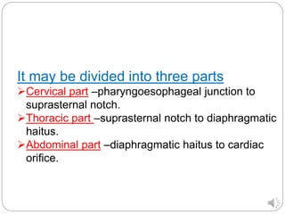 Clinical & Applied anatomy of trachea and Oesophagus | PPTX