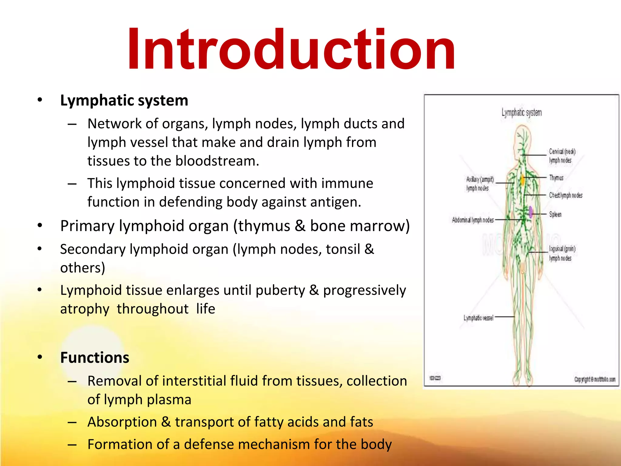 Clinical approach fever +lymphadenopathy | PPTX
