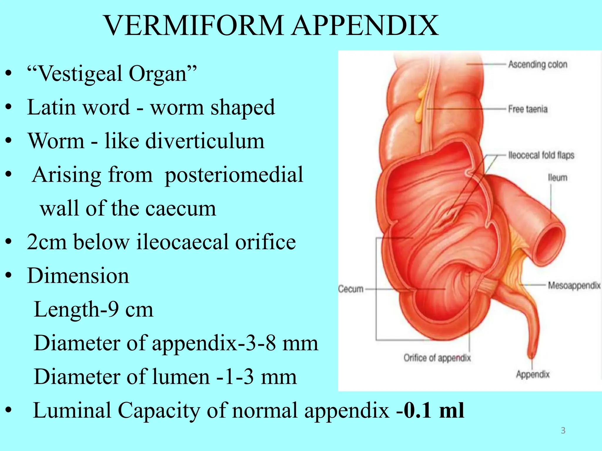 CLINICAL APPROACH TO APPENDISECTOMY.pptx