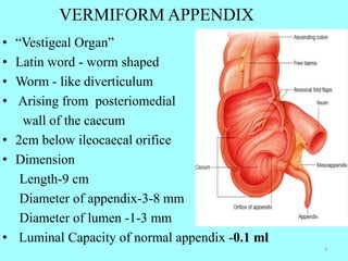 CLINICAL APPROACH TO APPENDISECTOMY.pptx