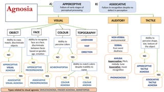Clinical approach to Dementia (Major Neurocognitive Disorder.pptx