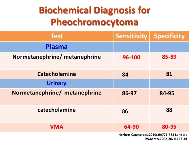 Clinical approach to hypertension in the young