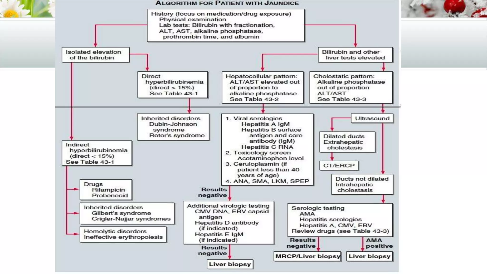 Clinical approach to jaundice | PPTX