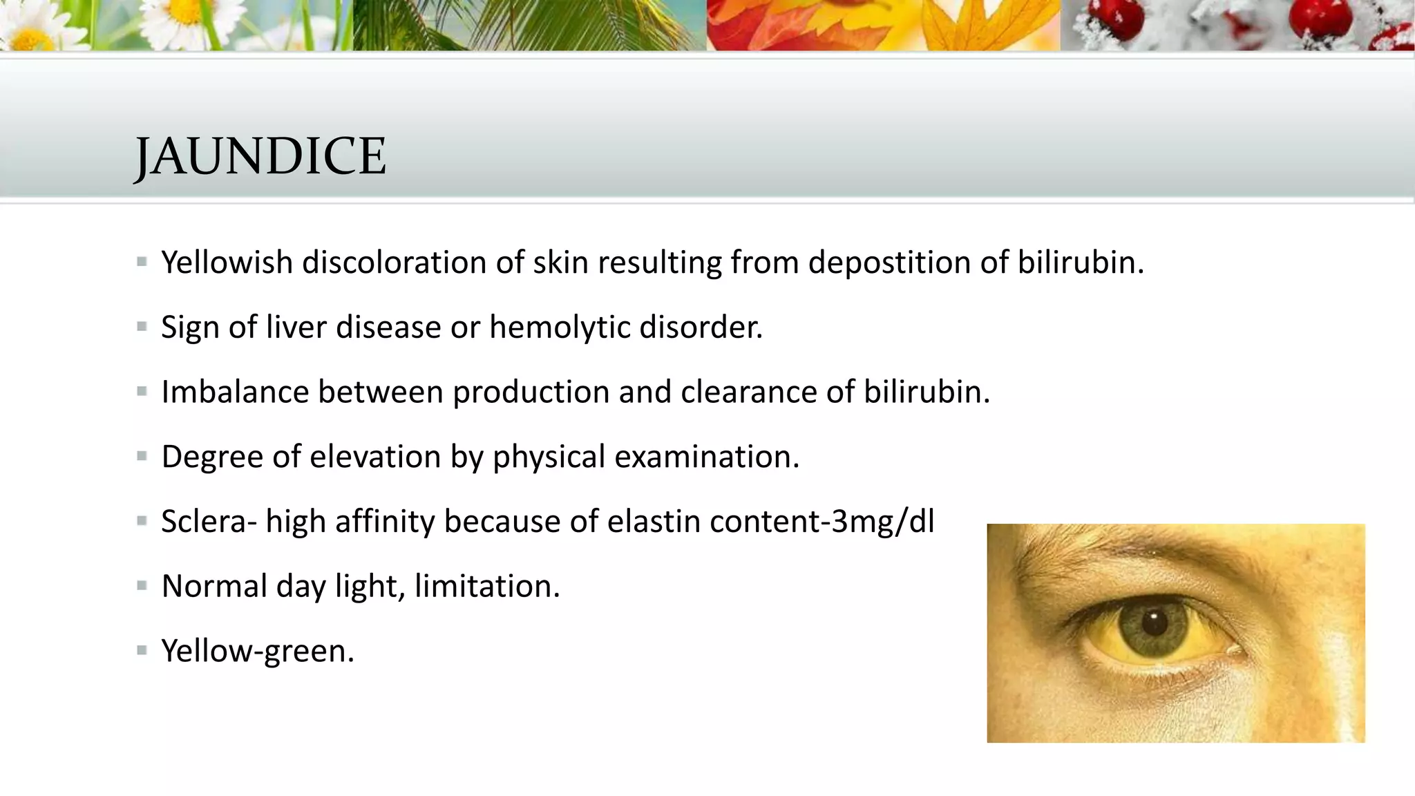 Clinical approach to jaundice | PPTX
