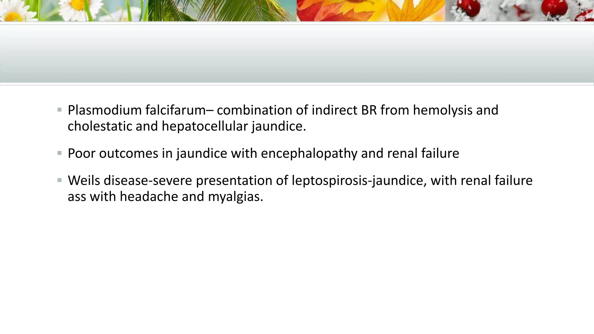 Clinical approach to jaundice | PPTX