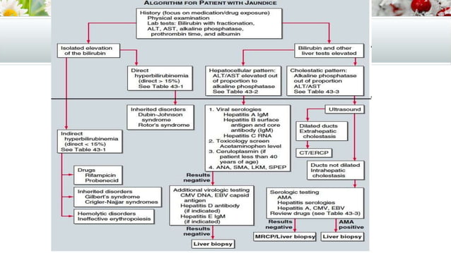 Clinical approach to jaundice | PPTX