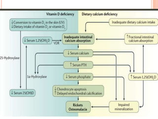Clinical approach to rickets with special reference to renal rickets ...