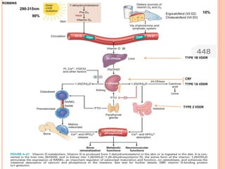 Clinical approach to rickets with special reference to renal rickets ...