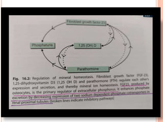 Clinical approach to rickets with special reference to renal rickets ...
